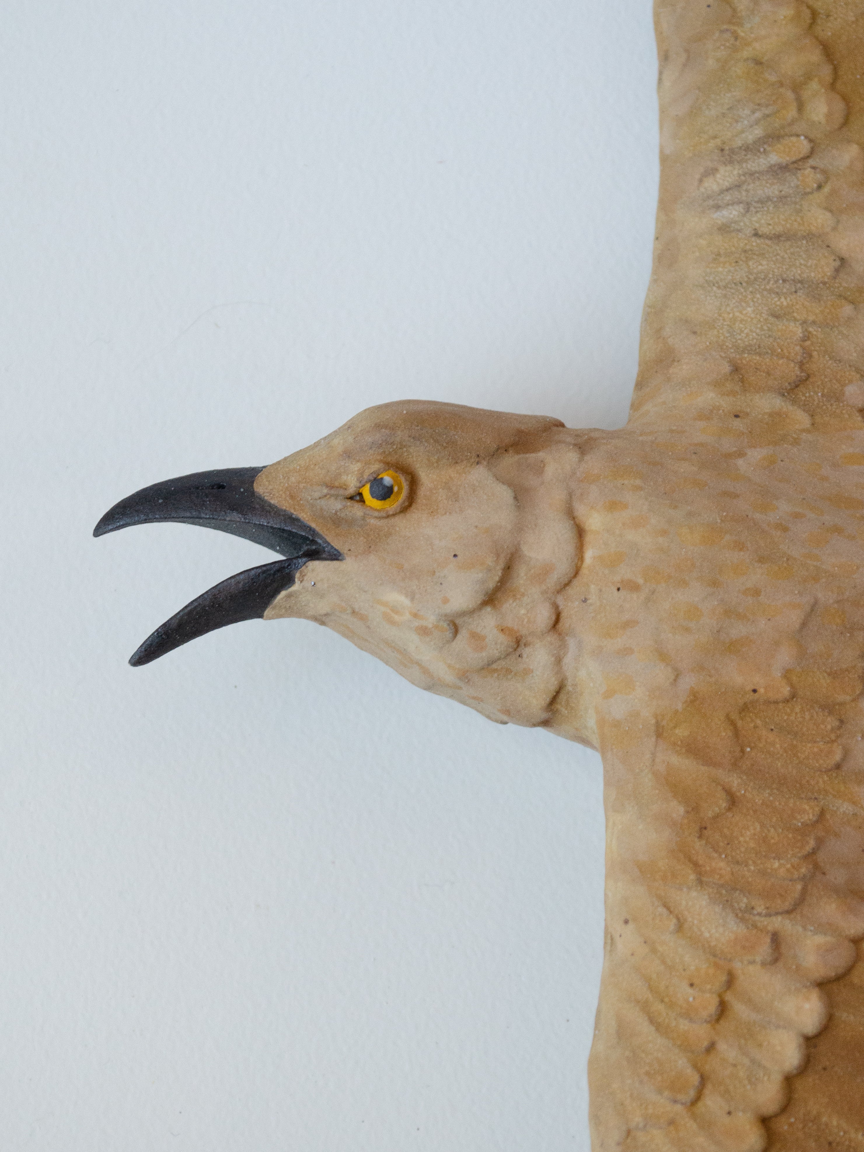 Sarah Conti - Bendire’s Thrasher Pair – Antler Gallery