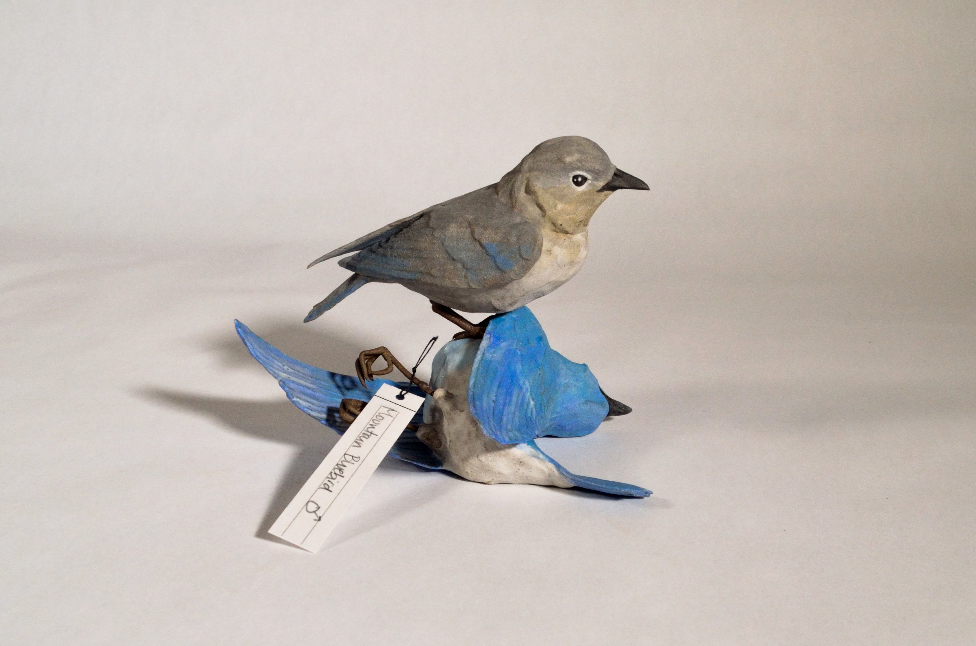 Sarah Conti - New Ceramic Works – Antler Gallery