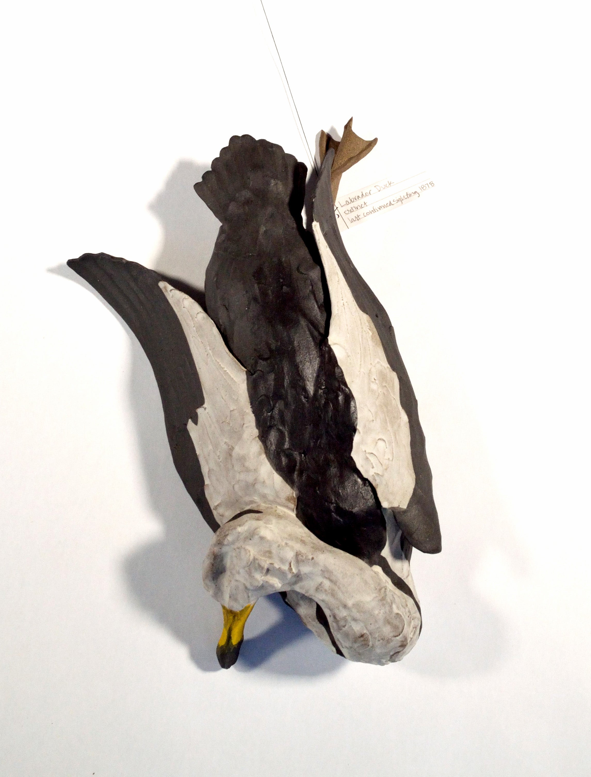 Sarah Conti - New Ceramic Works – Antler Gallery
