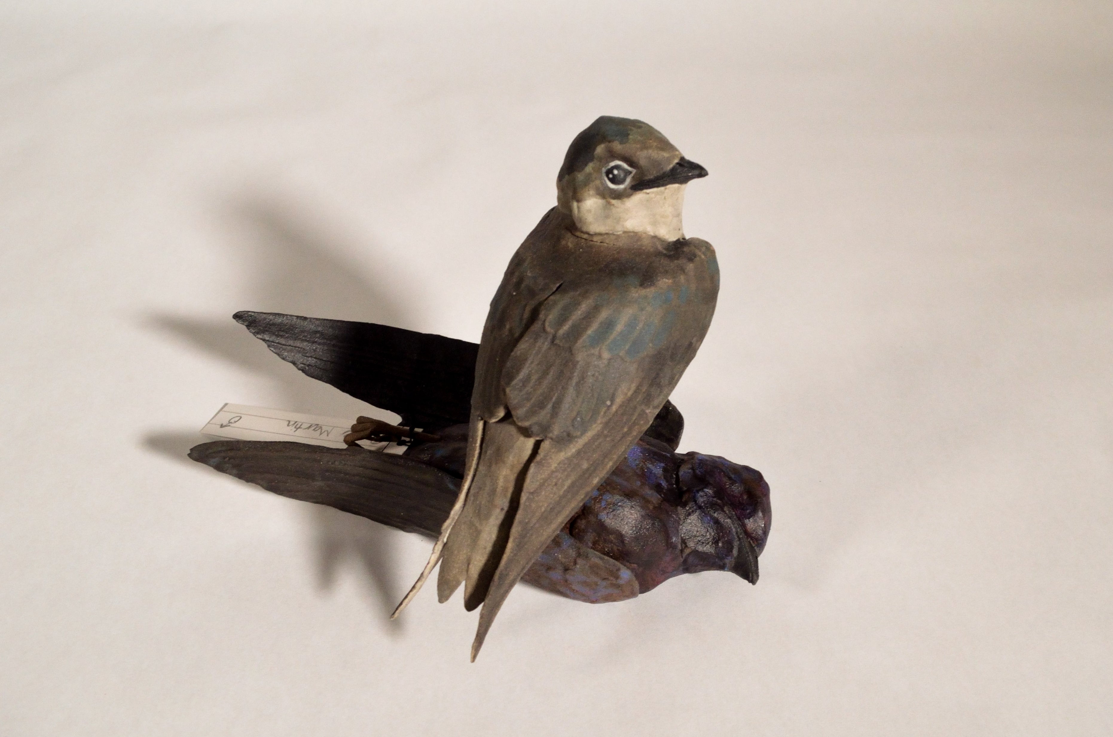 Sarah Conti - New Ceramic Works – Antler Gallery