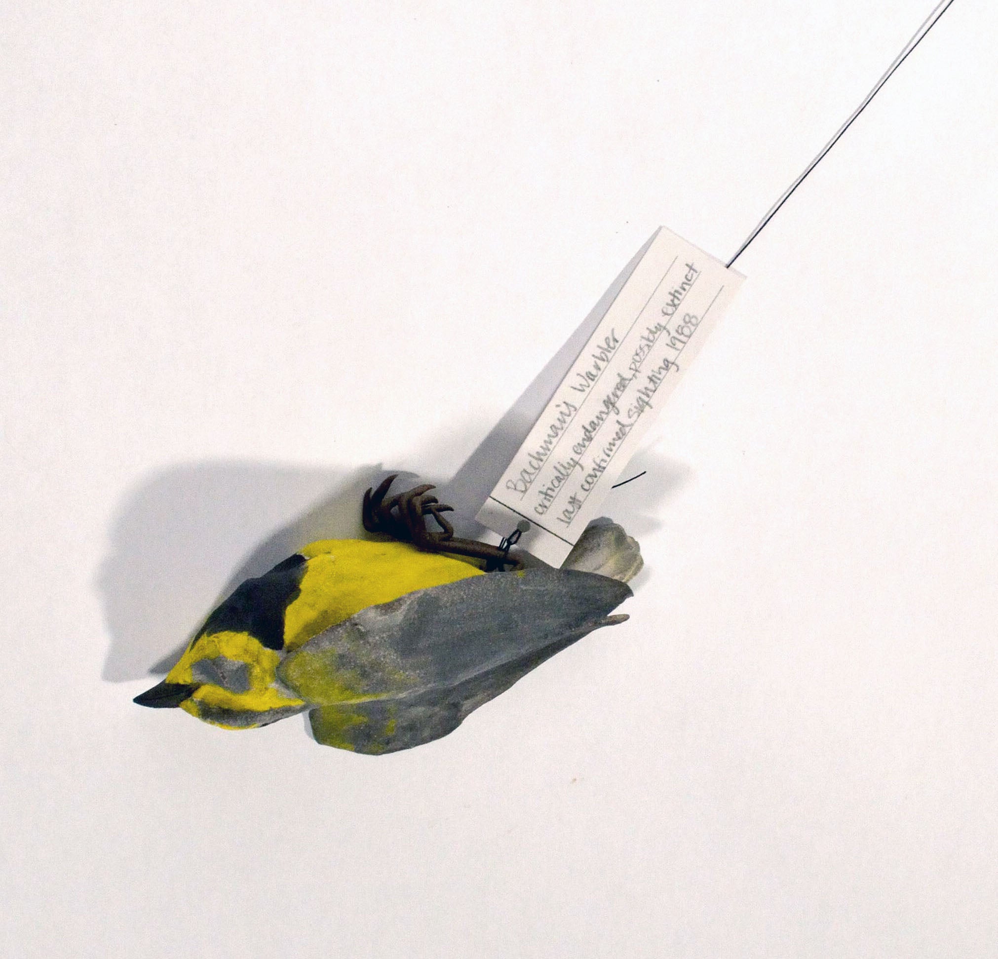 Sarah Conti - New Ceramic Works – Antler Gallery