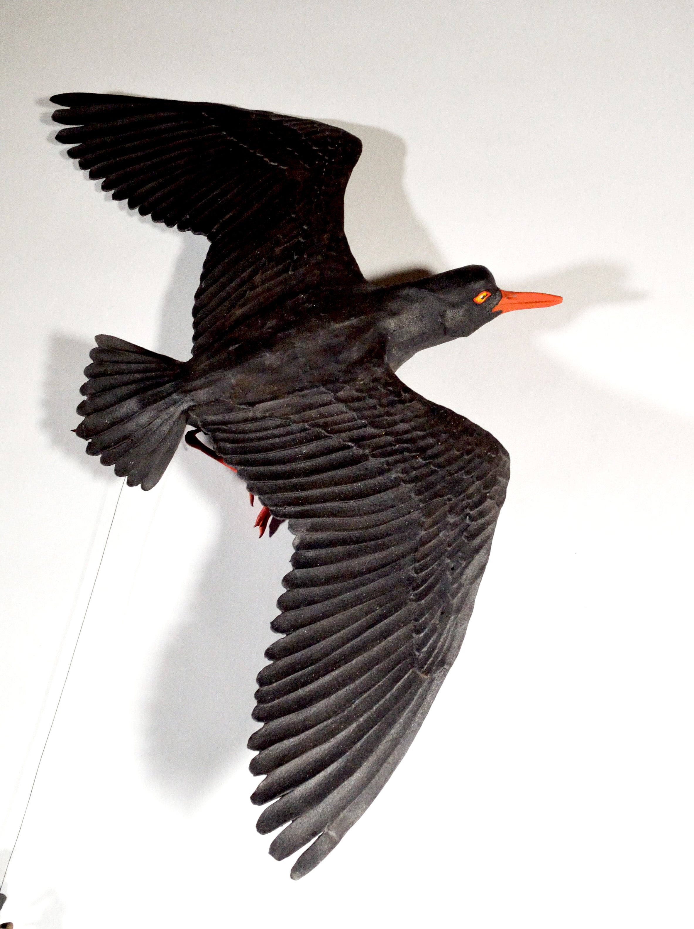 Sarah Conti - New Ceramic Works – Antler Gallery