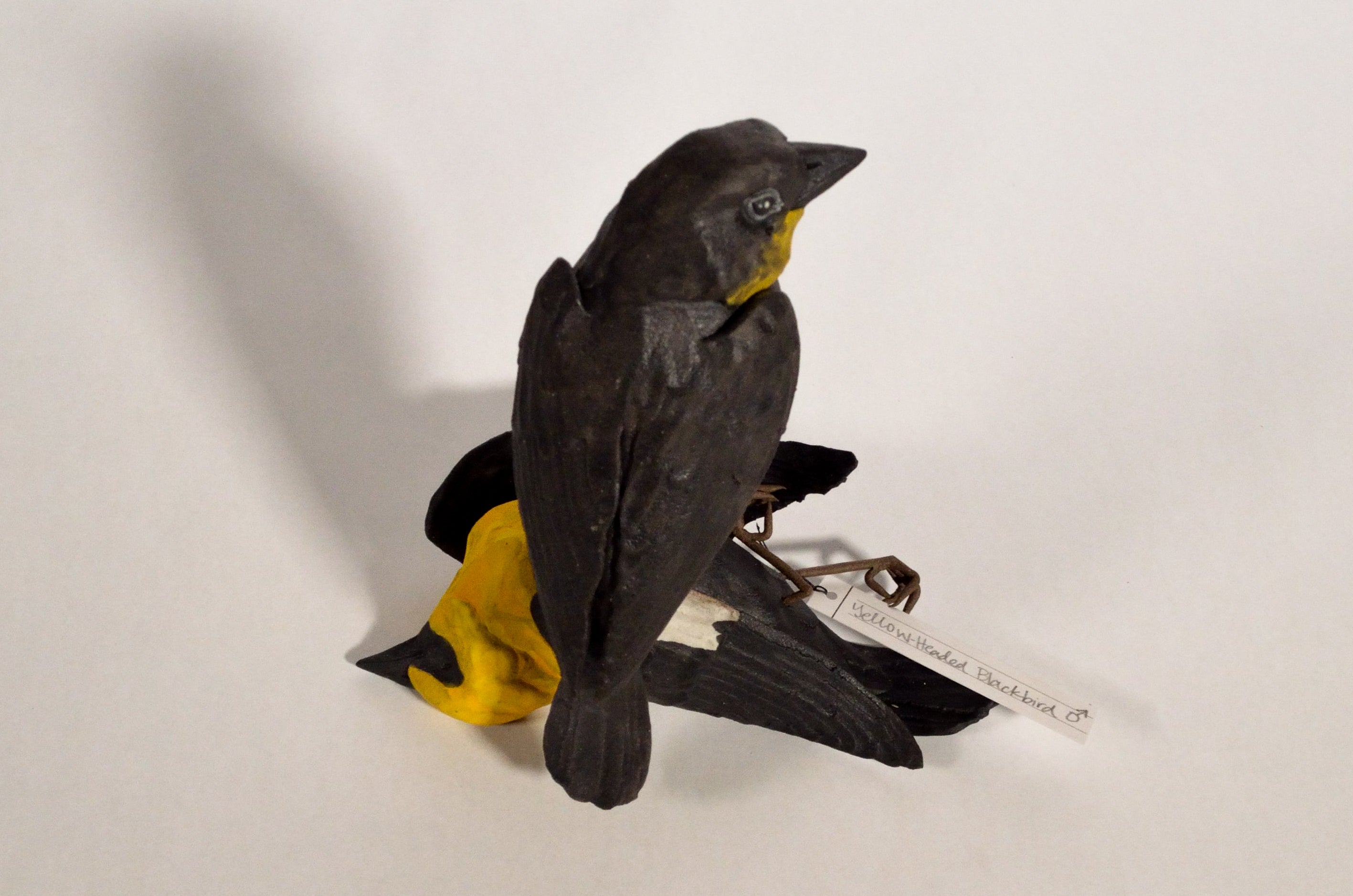 Sarah Conti - New Ceramic Works – Antler Gallery