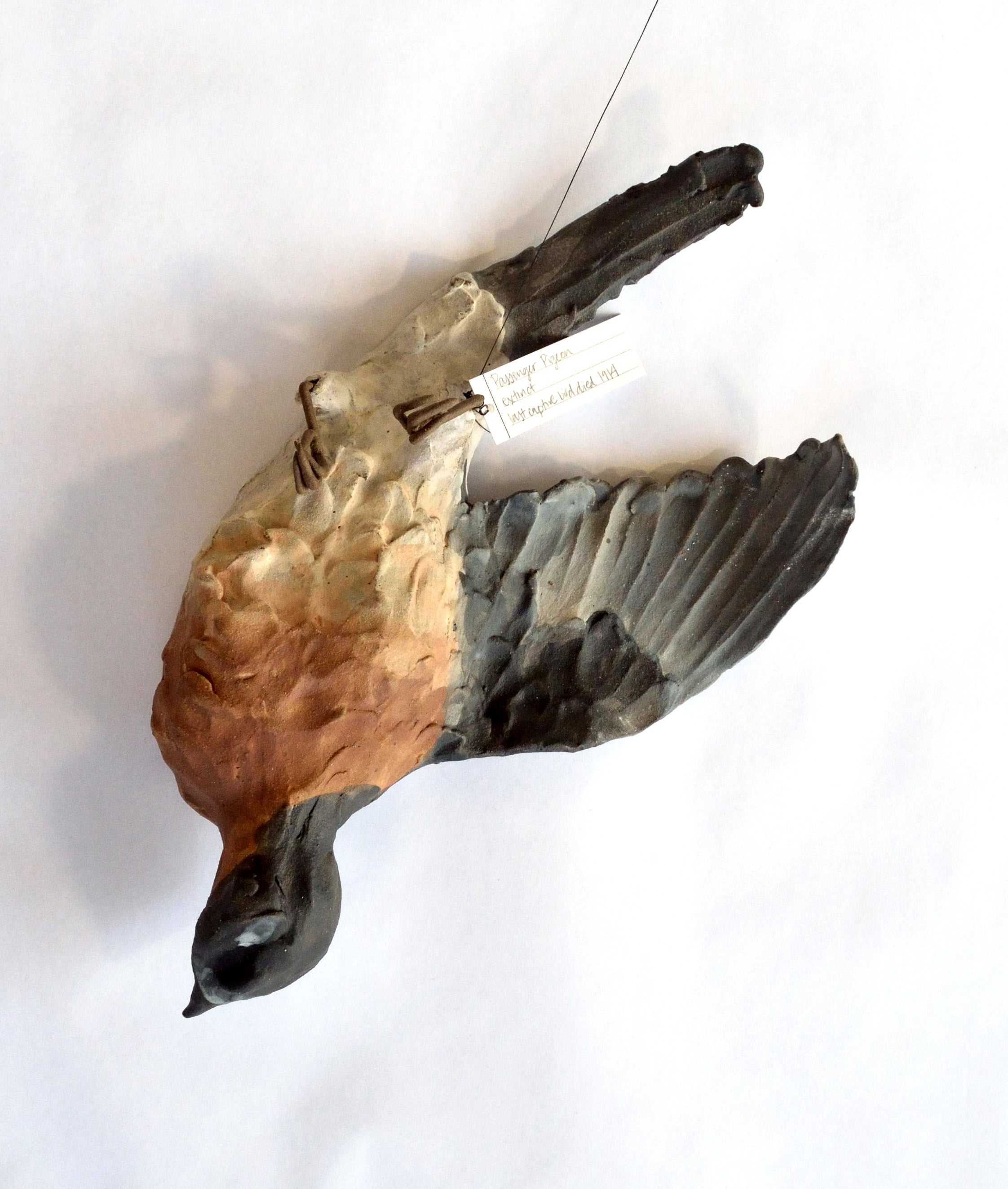 Sarah Conti - New Ceramic Works – Antler Gallery