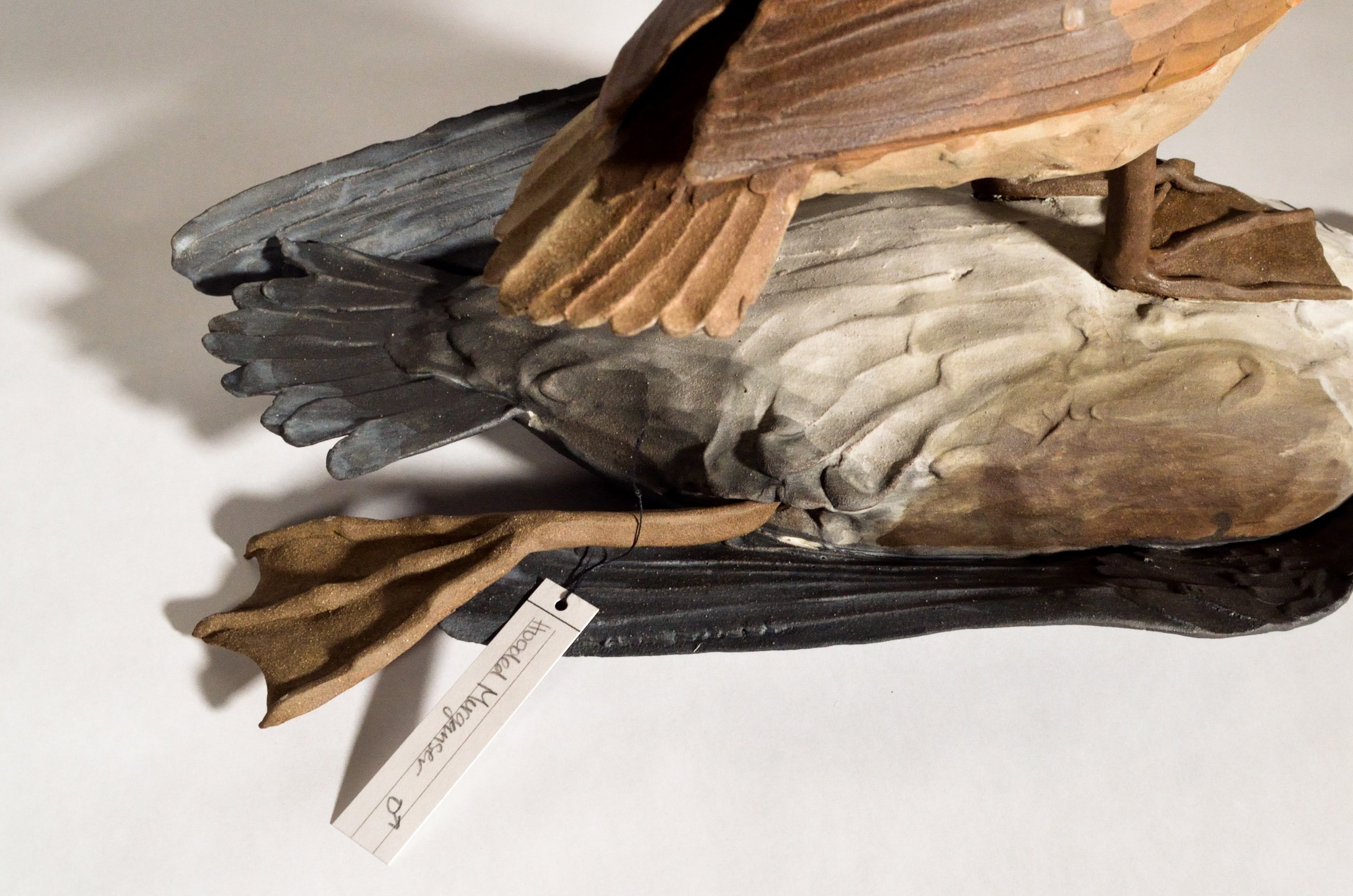 Sarah Conti - New Ceramic Works – Antler Gallery