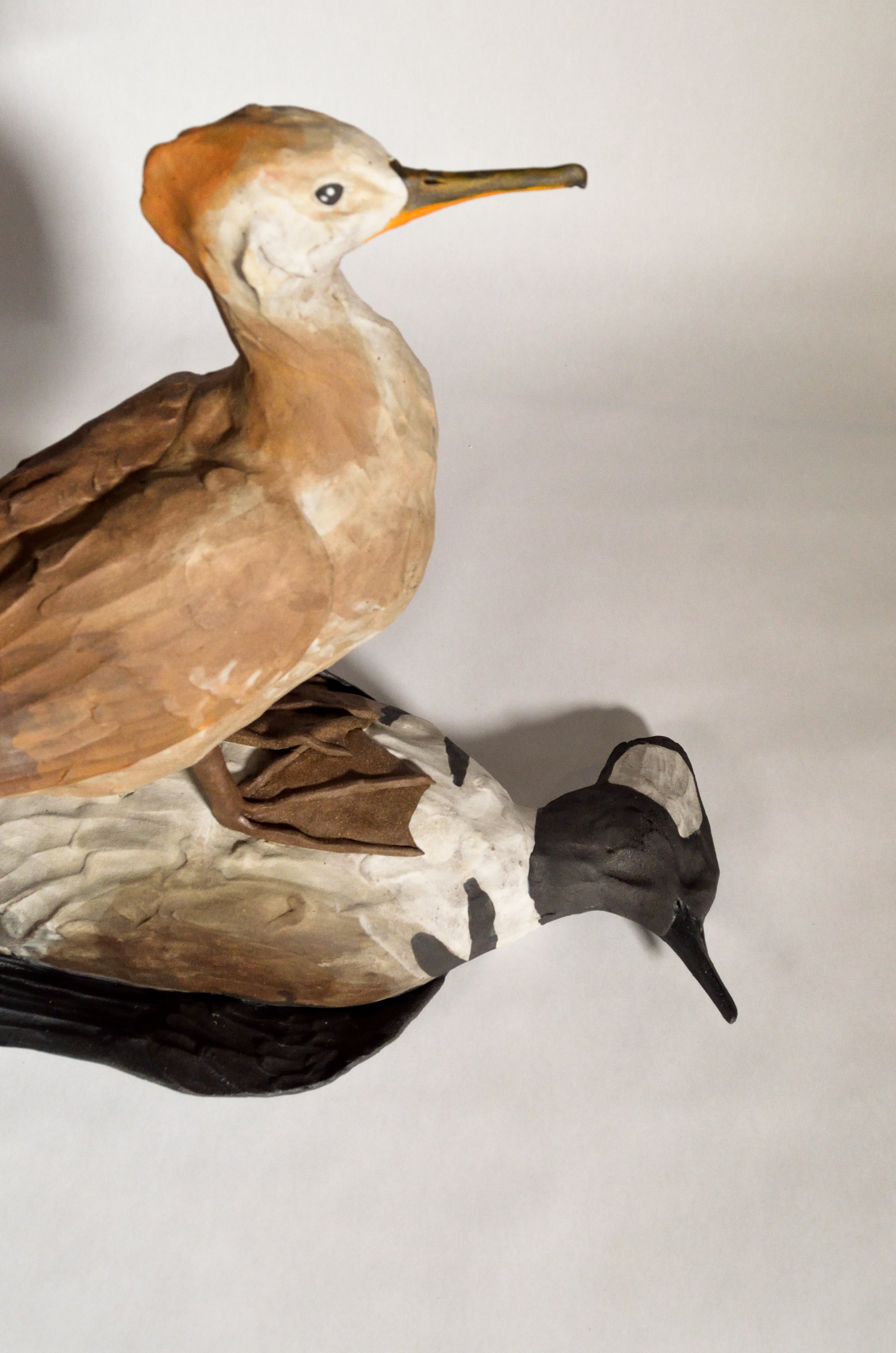 Sarah Conti - New Ceramic Works – Antler Gallery