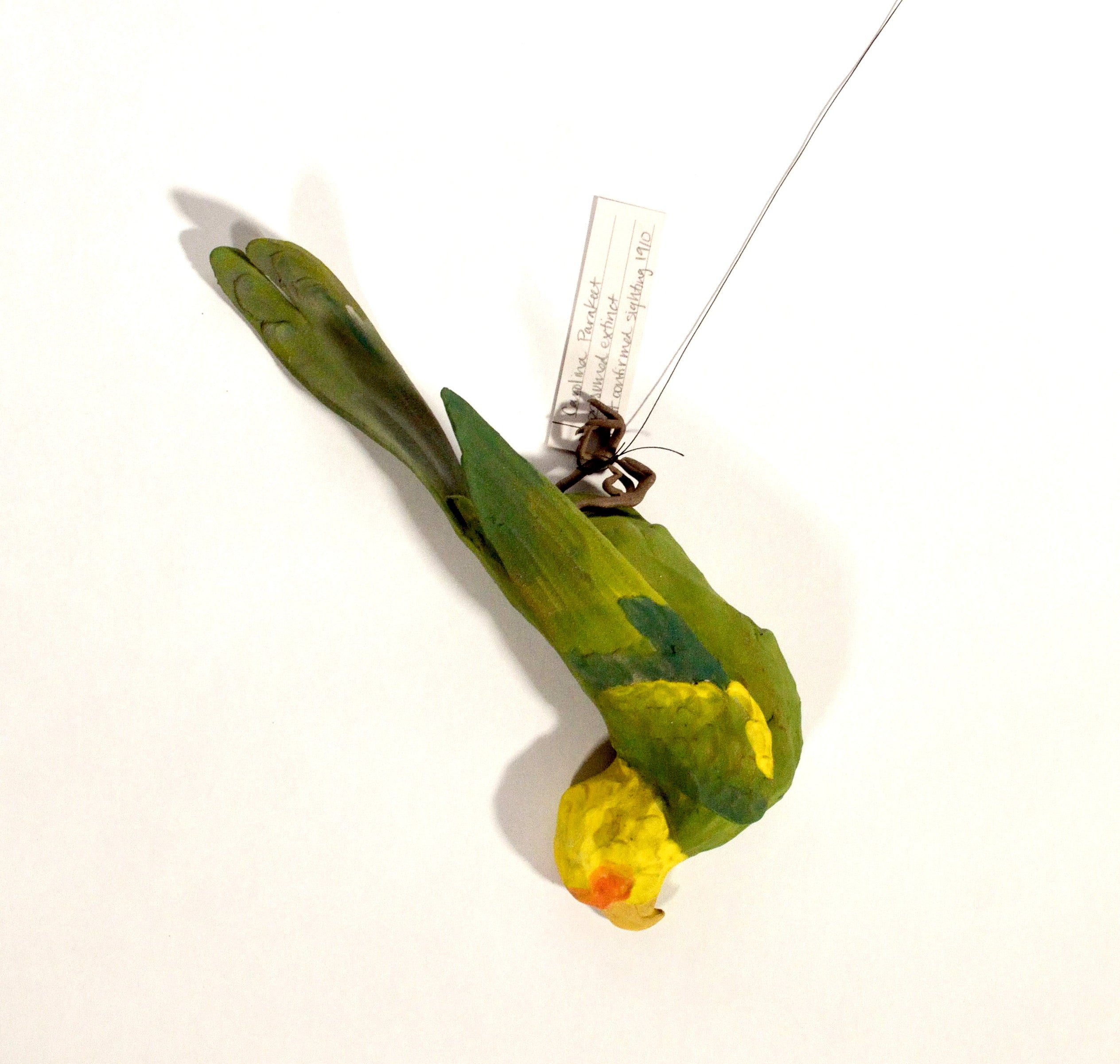 Sarah Conti - New Ceramic Works – Antler Gallery