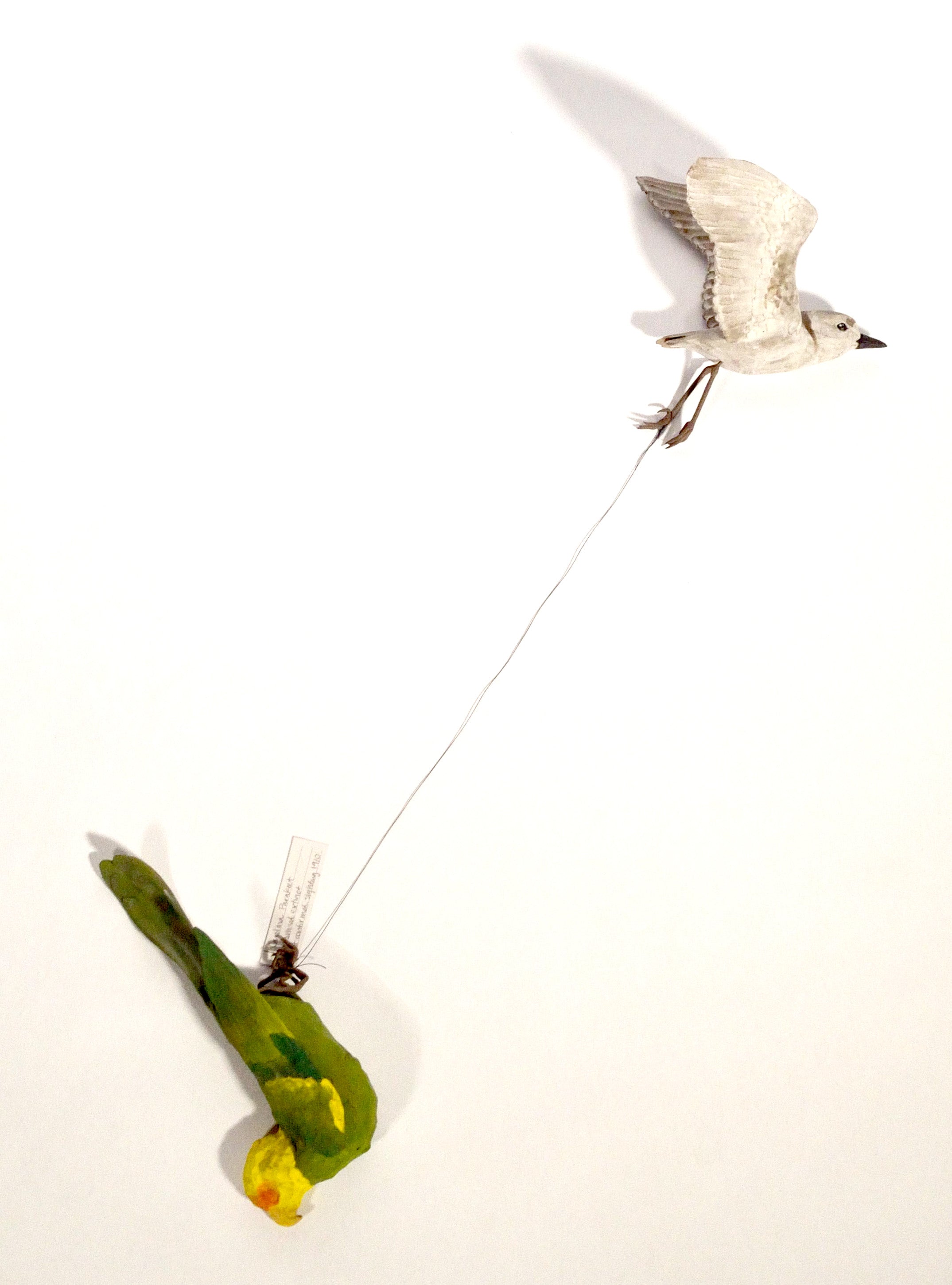 Sarah Conti - New Ceramic Works – Antler Gallery