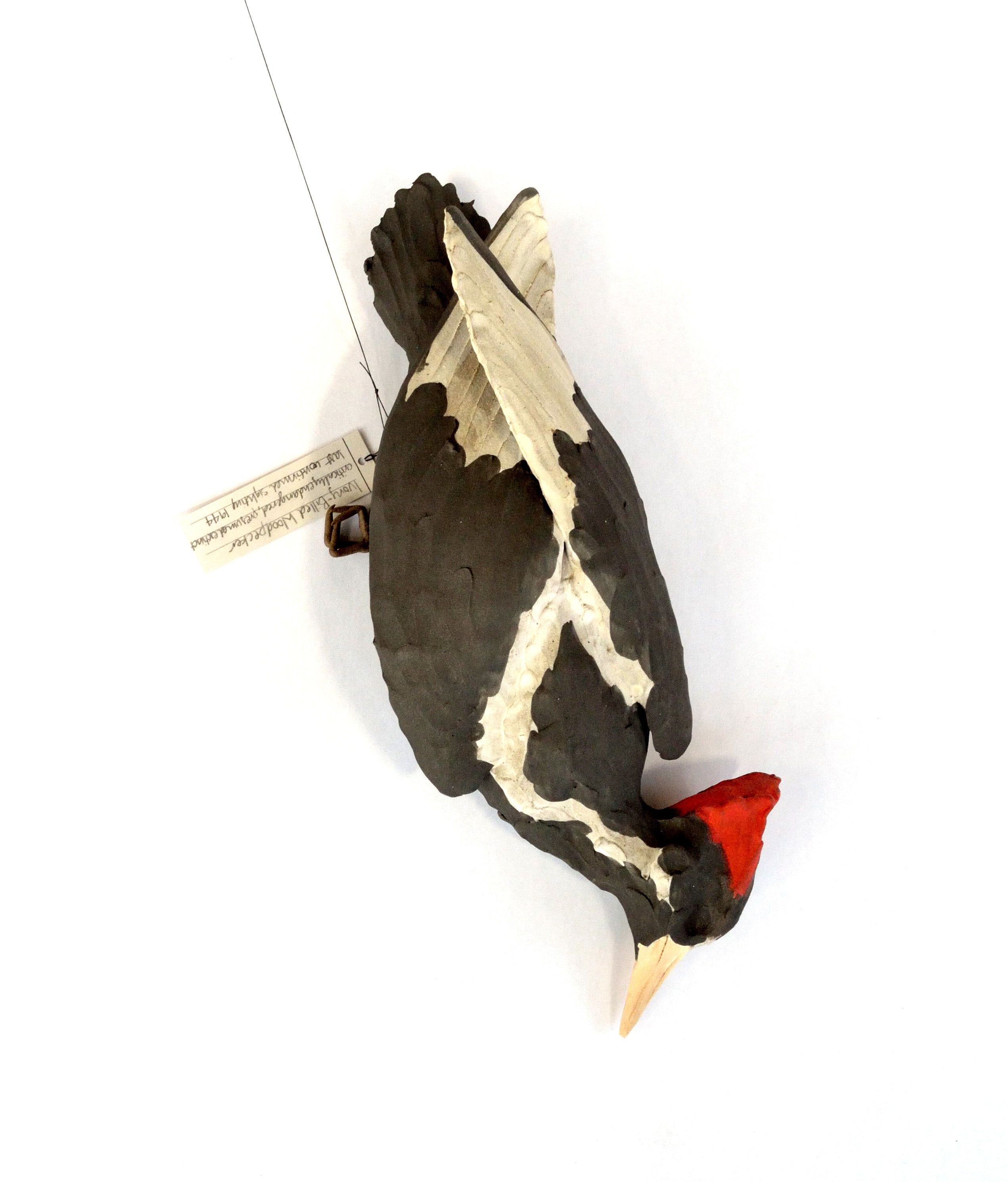 Sarah Conti - New Ceramic Works – Antler Gallery