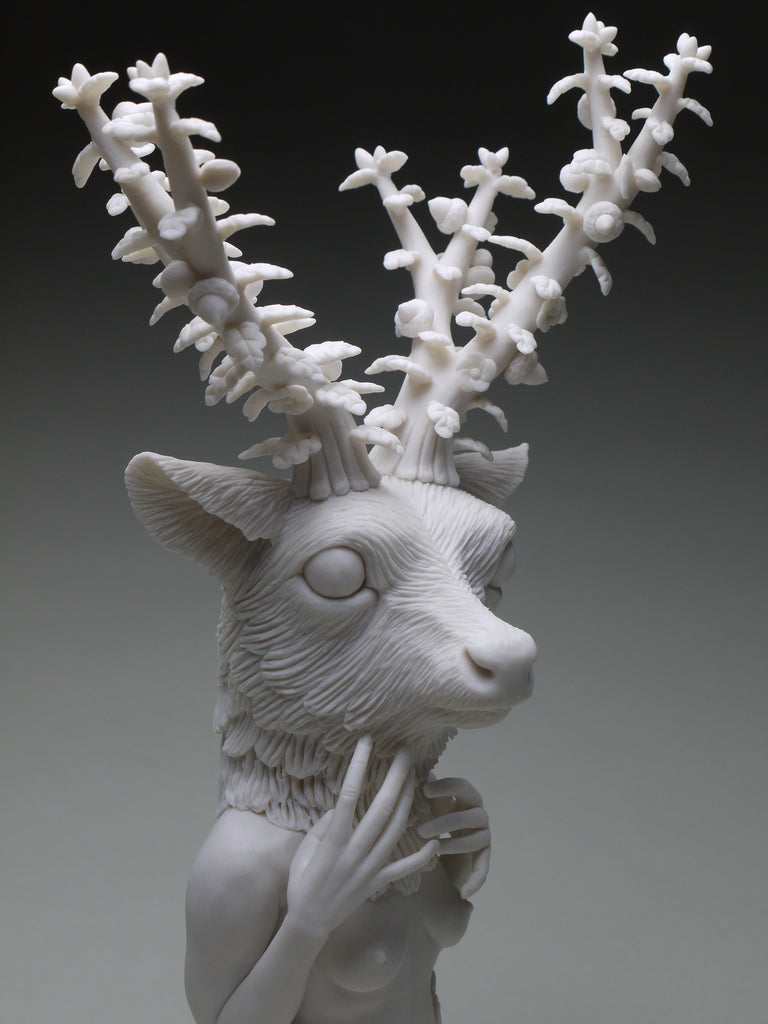 Crystal Morey – Antler Gallery