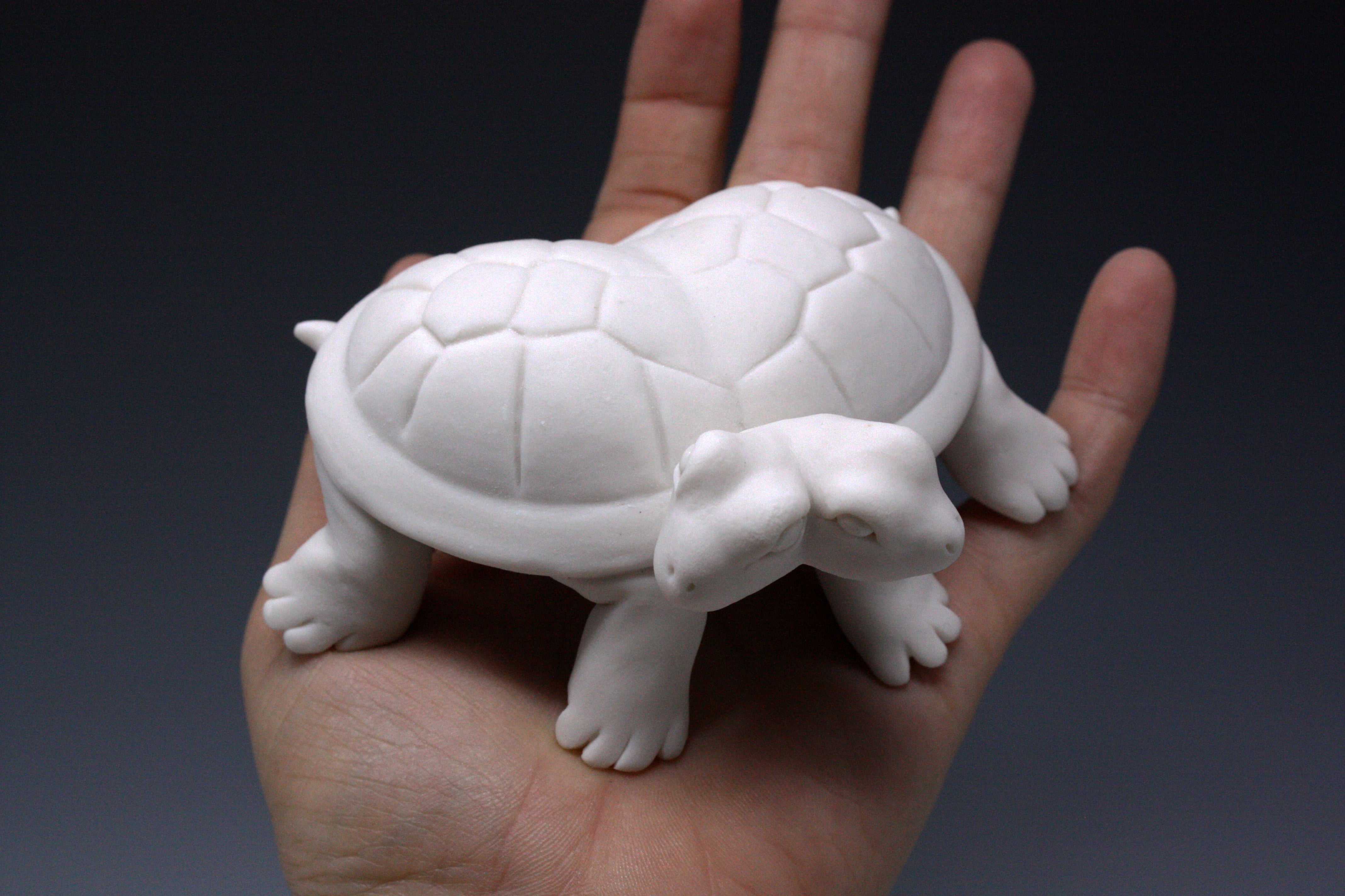 Bethany Krull - Turtle Anomaly 1 – Antler Gallery